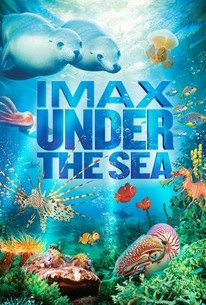 Under the Sea | Rotten Tomatoes