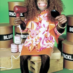 The Chimp Channel: Season 1, Episode 3 - Rotten Tomatoes