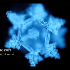 Secret of Water - Rotten Tomatoes