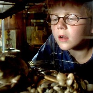 Forrest Landis - Rotten Tomatoes