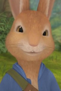 Peter Rabbit: Season 1, Episode 8 | Rotten Tomatoes