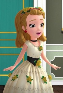 Sofia the First: Season 3, Episode 8 | Rotten Tomatoes