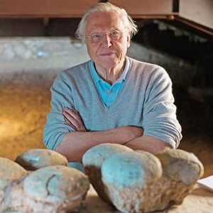 David Attenborough's Rise of Animals: Triumph of the Vertebrates ...