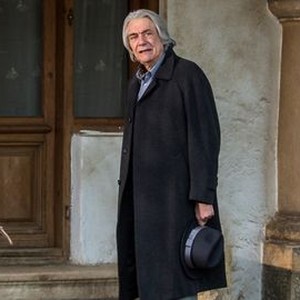 Octav - Rotten Tomatoes