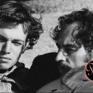 Forbidden Letters - Rotten Tomatoes