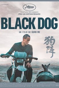 Black Dog (2024) | Rotten Tomatoes