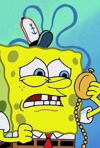 SpongeBob SquarePants: Season 5, Episode 5 | Rotten Tomatoes