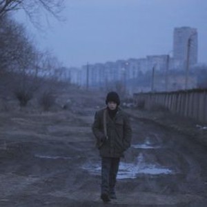 Susa - Rotten Tomatoes
