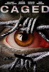 Caged (2017) | Rotten Tomatoes