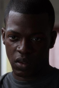 Law & Order: Special Victims Unit: Season 13, Episode 6 - Rotten Tomatoes