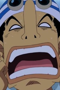 One Piece: Season 11, Episode 17 | Rotten Tomatoes