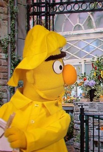 Sesame Street: Season 50, Episode 18 - Rotten Tomatoes