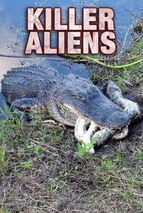 Killer Aliens | Rotten Tomatoes
