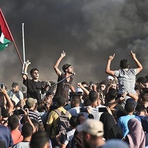 Gaza Fights for Freedom - Rotten Tomatoes
