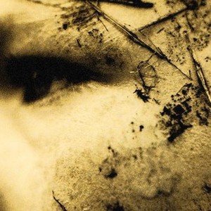 Ratcatcher - Rotten Tomatoes