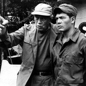 Robert Forster Reflections In A Golden Eye