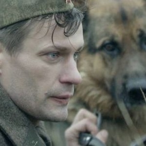 Red - Rotten Tomatoes