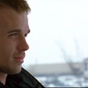 5 Star Day - Rotten Tomatoes