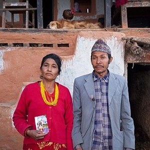 Drawing the Tiger - Rotten Tomatoes