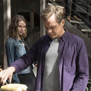 The Slap - Rotten Tomatoes