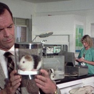 Panic - Rotten Tomatoes