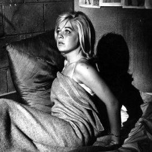 The Defilers - Rotten Tomatoes