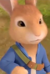 Peter Rabbit: Season 3, Episode 5 - Rotten Tomatoes