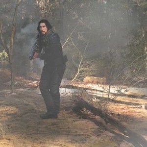 65 - Rotten Tomatoes