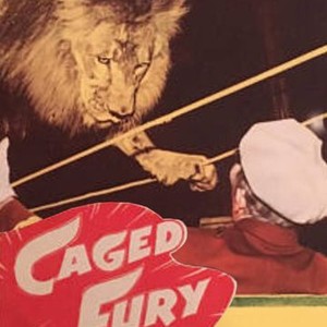 Caged Fury - Rotten Tomatoes