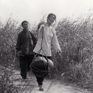 Red Sorghum - Rotten Tomatoes