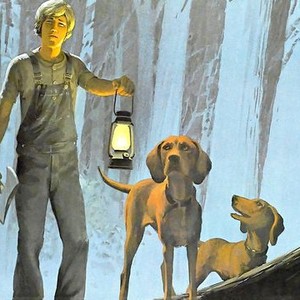 Where The Red Fern Grows Billy Actor