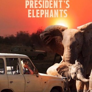 All the President's Elephants - Rotten Tomatoes