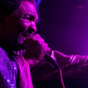 The Weird World of Blowfly - Rotten Tomatoes