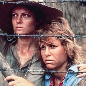 Women of Valor - Rotten Tomatoes