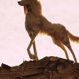 Isle of Dogs - Rotten Tomatoes