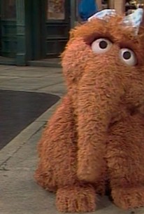 Sesame Street: Season 19, Episode 1 | Rotten Tomatoes