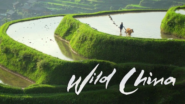 wild china