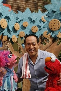 Sesame Street: Season 40, Episode 11 | Rotten Tomatoes