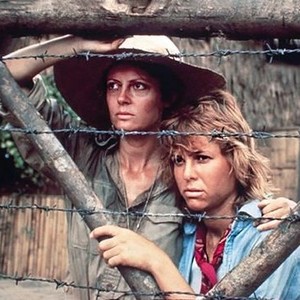 Women of Valor - Rotten Tomatoes