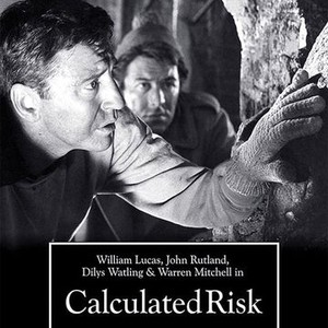 Calculated Risk - Rotten Tomatoes