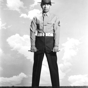 Jack Webb - Rotten Tomatoes