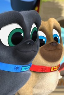 Puppy Dog Pals: Season 5, Episode 19 - Rotten Tomatoes