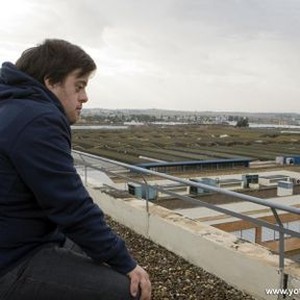 Me Too - Rotten Tomatoes