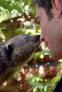 Evan Goes Wild: Season 1, Episode 2 | Rotten Tomatoes