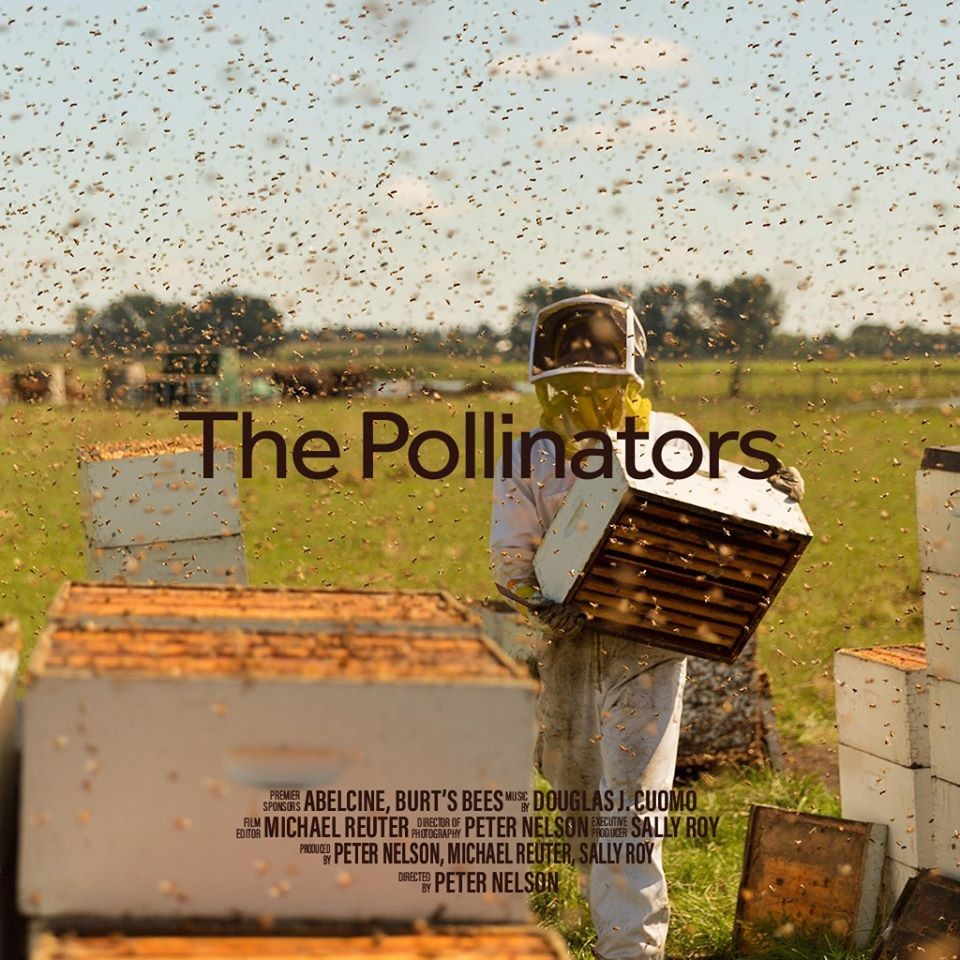The Pollinators Pictures | Rotten Tomatoes