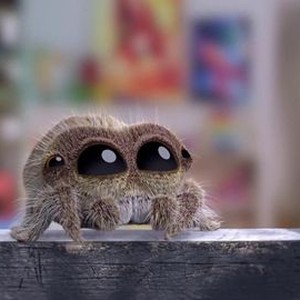 Lucas the Spider: Season 1, Episode 10 - Rotten Tomatoes
