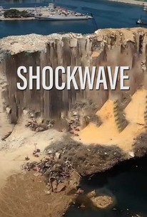Shock Wave (2020) | Rotten Tomatoes