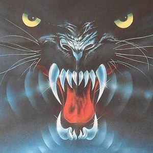 The Wild Beasts - Rotten Tomatoes