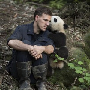 Pandas - Rotten Tomatoes