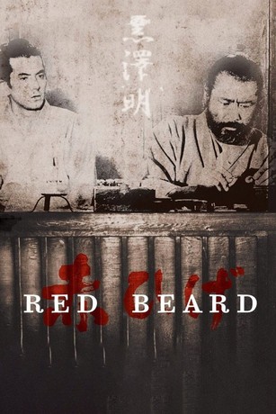 redbeard horror